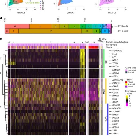 Single Cell Bcr Sequencing Of Sars Cov 2 Antigen Specific B Cells A