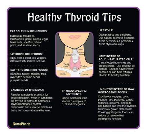 Hypothyroidism Diet Thyroid Diet Thyroid Issues Thyroid Disease