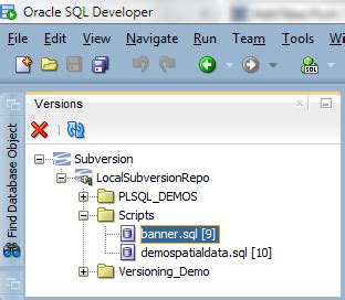Managing Scripts In Oracle SQL Developer