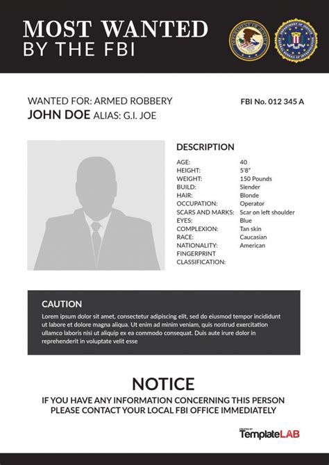 Criminal Profile Template Vilriver