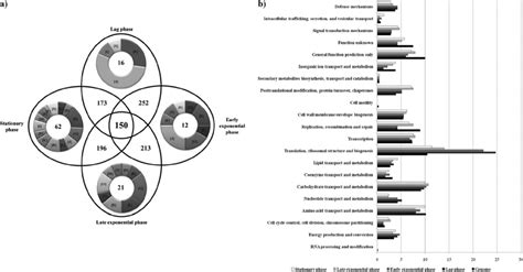 Number And Functional Analysis According To Cog Categories Of B