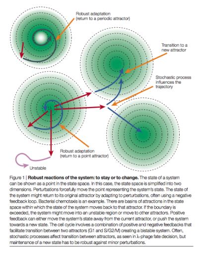 What Makes A Network Robust Nodus Labs Ecological Thinking Through Network Analysis