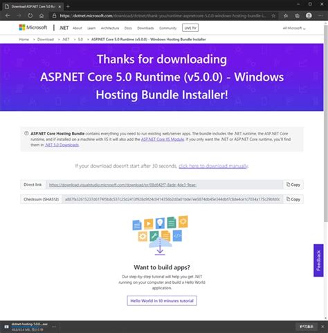 Aspnet Core 5 Windows Hosting Bundleをインストールする Iis Internet