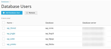 Edit Database User Permissions In Plesk Panel
