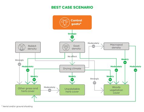 Biodiversity Knowledge Framework