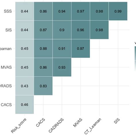 Correlations Between Semi Quantitative Ct Scores Coronary Artery
