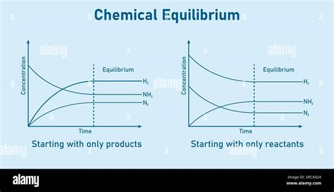 Example Of Equilibrium