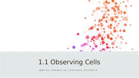 B1 1 Observing Cells Teaching Resources