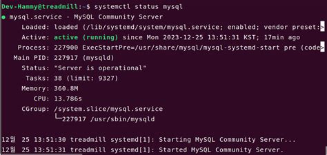 Guideaccessing Data With Mysql
