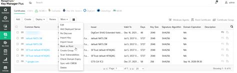 manage ssl certificates key manager plus