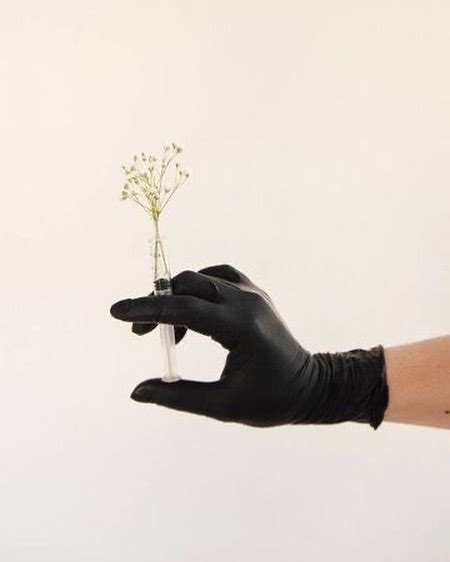 კოსმეტოლოგი ფილერი ტუჩის გადიდება ცხვირის ფილერი Lipstbilisi • Instagram Photos And Videos