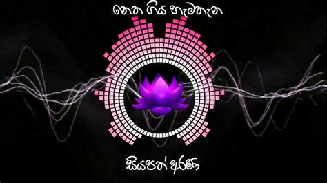 නෙත ගිය හැමතැන සිංහලගීත Youtube