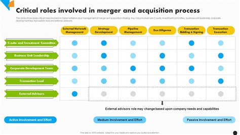 Critical Roles Involved In Merger And Integration Strategy For Increased Profitability Strategy