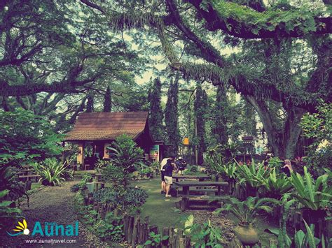Travel Wisata Djawatan Banyuwangi Aunal Travel