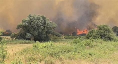 Продължава борбата с големия пожар на българо гръцката граница