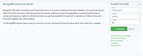 如何安装和设置本地 Mongodb 数据库 Prisma 中文