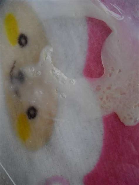 精子长什么样子卵子长什么样子 伤感说说吧