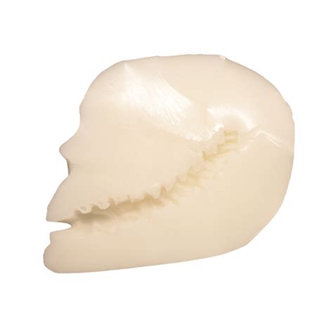 Is The Skullfucker The Most Unique Blowjob Toy Ever Tokyo Kinky Sex Erotic And Adult Japan