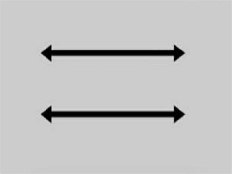 17 Parallel Lines Examples In Real Life StudiousGuy