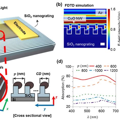 Concept Of The Proposed High Performance Visible Light Photodetector Download Scientific