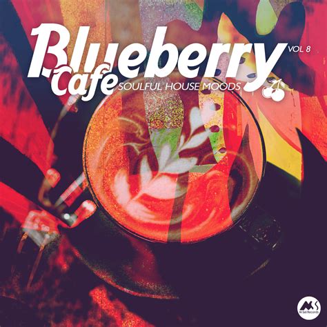 Blueberry Cafe Vol 8 Soulful House Moods