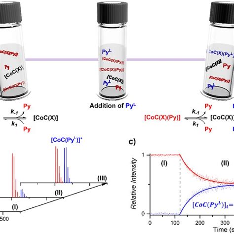 A Schematic Representation Of The Drl Experiments Described In This