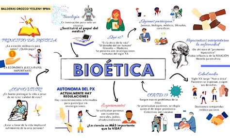 Quais Os Principios Da Bioetica Fdplearn