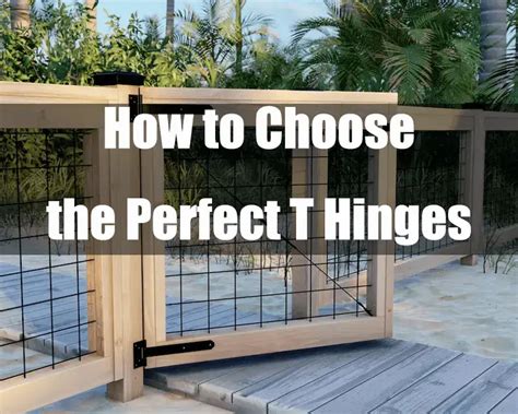 How To Choose The Perfect T Hinges Your Ultimate Guide