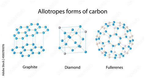 What Are The 3 Different Forms Of Carbon At Rita Robins Blog