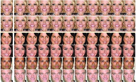 Gaze Animation Results Using The Interpolation Of The Latent Features R Download Scientific