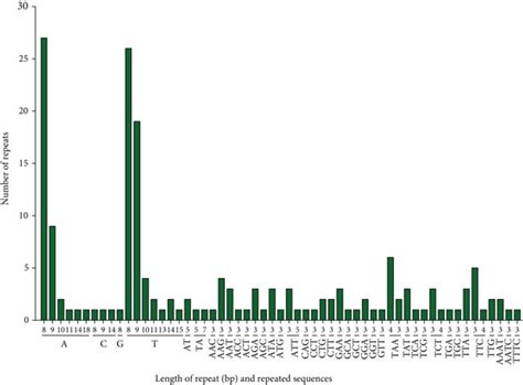 Ssr Numbers According To Their Distribution And Repeat Type And Repeat Download Scientific