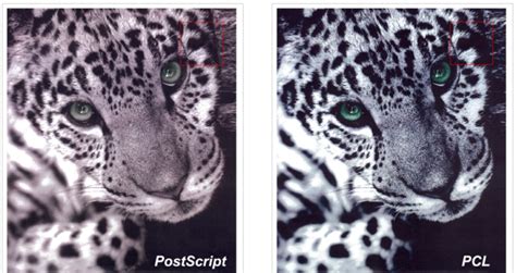 מהם ההבדלים שבין מנהלי התקנים למדפסות Pcl לעומת Postscript