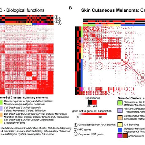 Workflow Diagram Of The Multi Omics Analysis Framework Download Scientific Diagram