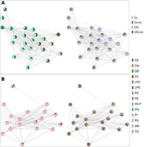 Phospholipid Enriched Communities Each Node Represents A Bicluster And Download Scientific