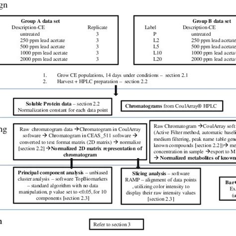 A Linear Flow Diagram Identifying The Flow Of Information In The Download Scientific Diagram