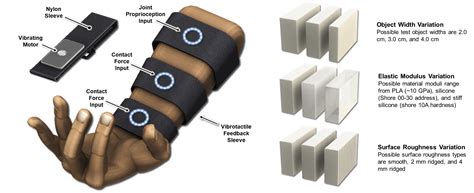 haptic feedback motor learning at kaitlyn corkill blog