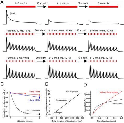 Photocurrents Under Continuous And Pulsed Illumination A Download Scientific Diagram
