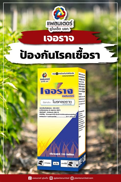 ️เจอโรค ต้อง เจอราจ ️ แพลนเตอร์ ยูไนเต็ด Facebook