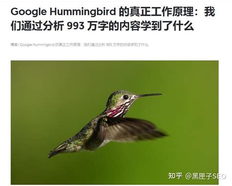 什么是 Rankbrain，如何针对它进行优化？ 知乎