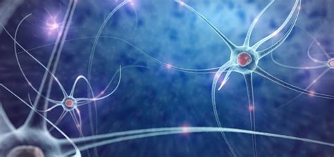 Nanosensors Shine A Light On Brain Chemistry Inchemistry