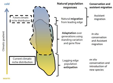 Topic 51 Model Interpretation And Applications Climatic And Ecological Modelling For Adaptive