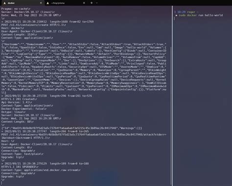 Sockets Link Dockersock In Varrun Stack Overflow