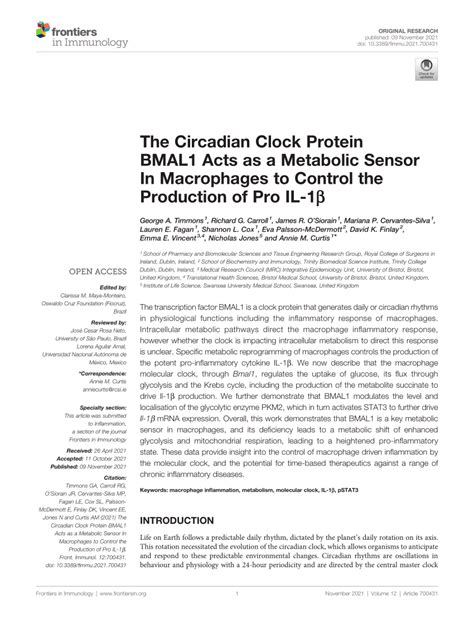 Pdf The Circadian Clock Protein Bmal1 Acts As A Metabolic Sensor In Macrophages To Control The