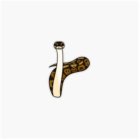 Onim Ball Python Scoping Sticker