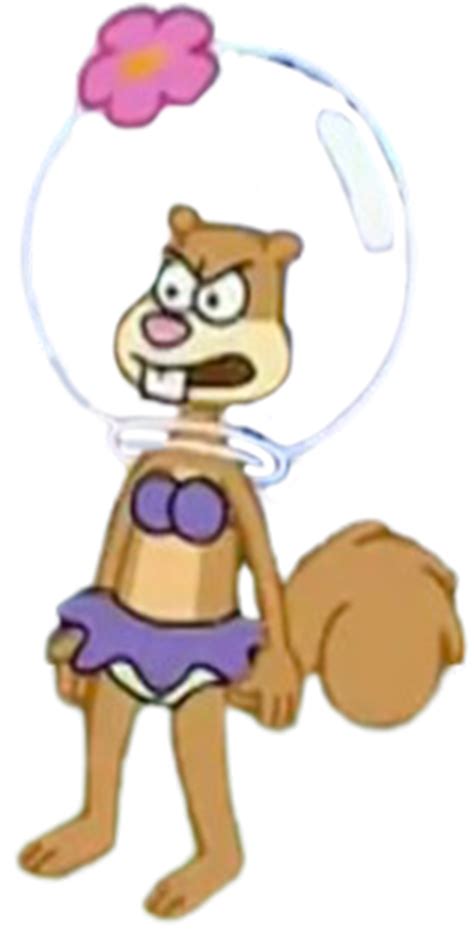 Sandy Cheeks Vector 25 By Mrtoonlover83 On Deviantart