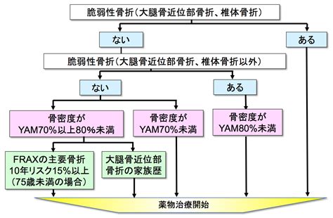 骨粗鬆症について 森ロコモクリニック