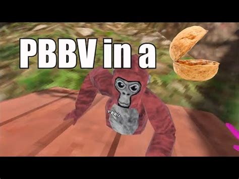 PBBV In A Nutshell YouTube