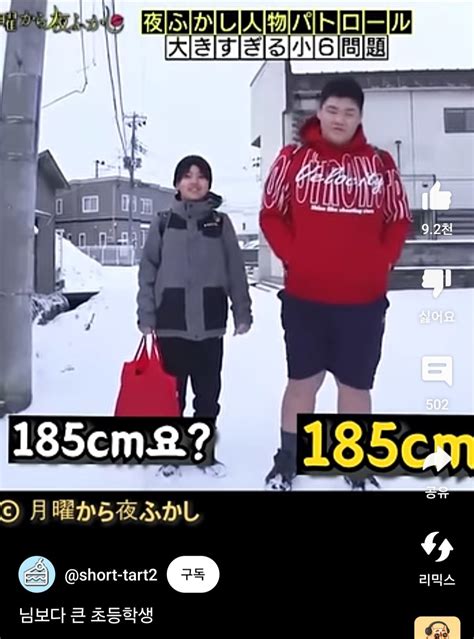 변태로 신고받은 초등학생 유머 움짤 이슈 에펨코리아