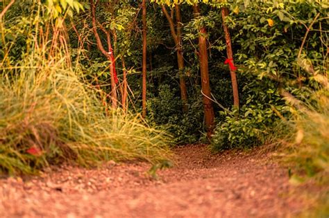 Page 3 Images De Larn Téléchargement Gratuit Sur Freepik