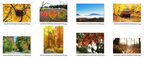 用python登录主流网站，我们的数据爬取少不了它！python爬取需要登录的网页数据 Csdn博客